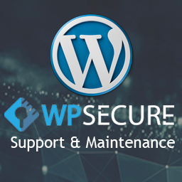 WordPress Premium Support, Emergency Fix, Maintenance and Malware ...